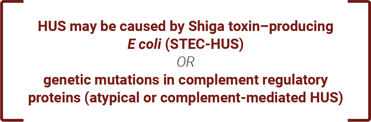 Identifying TTP Among Thrombotic Microangiopathies (TMAs)